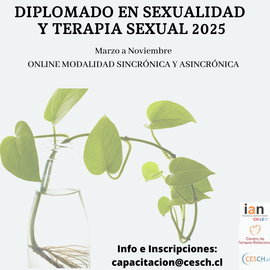Diplomado En Sexualidad Consejería Y Terapia Sexual 2025 Cesch Chile